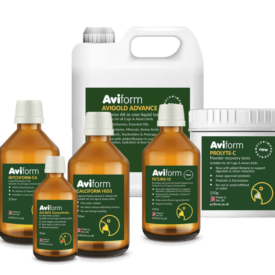 Cage and Aviary Bird Supplements | Aviform