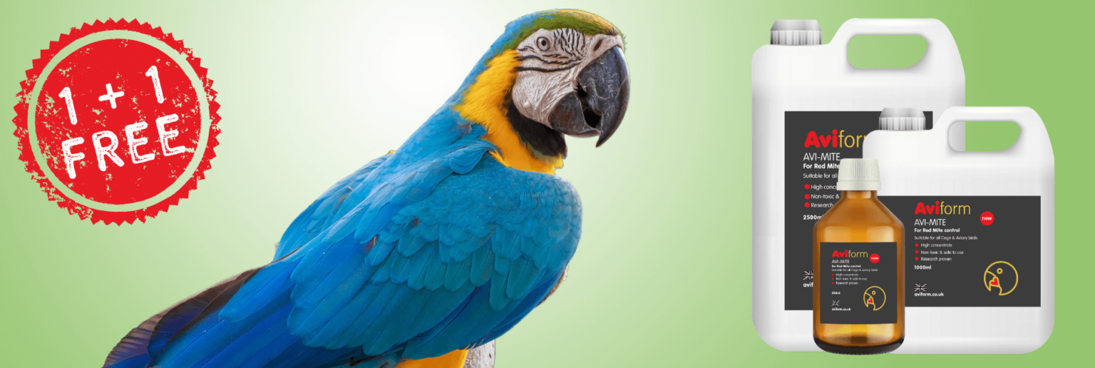 Aviform | Nutritional Supplements for Animals