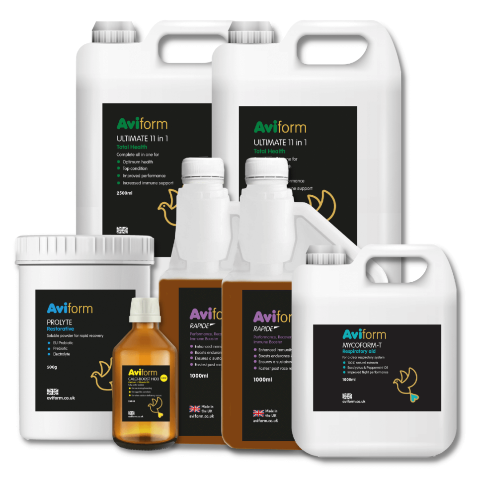 Dimethylform | DMG Supplement For Racing Pigeons | Aviform