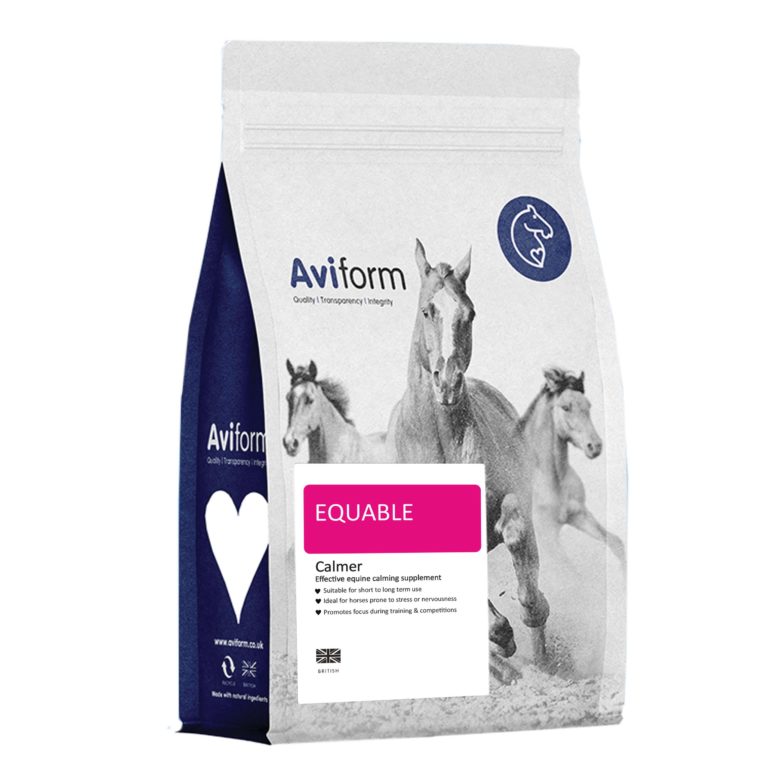 All Equine Supplements | Aviform