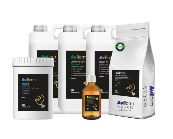 Racing Pigeon Supplements | Special Offer Packs | Aviform