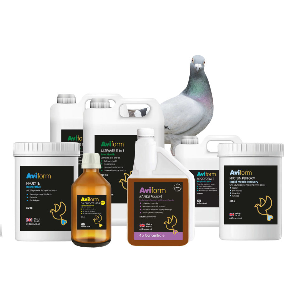 Racing Pigeon Supplements | Racing Pigeon Hyper Pack | Aviform
