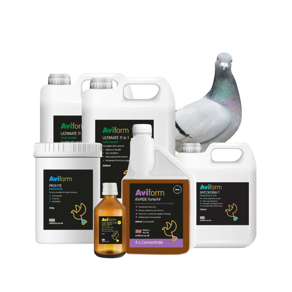 Racing Pigeon Supplements | Racing Pigeon Hyper Pack | Aviform