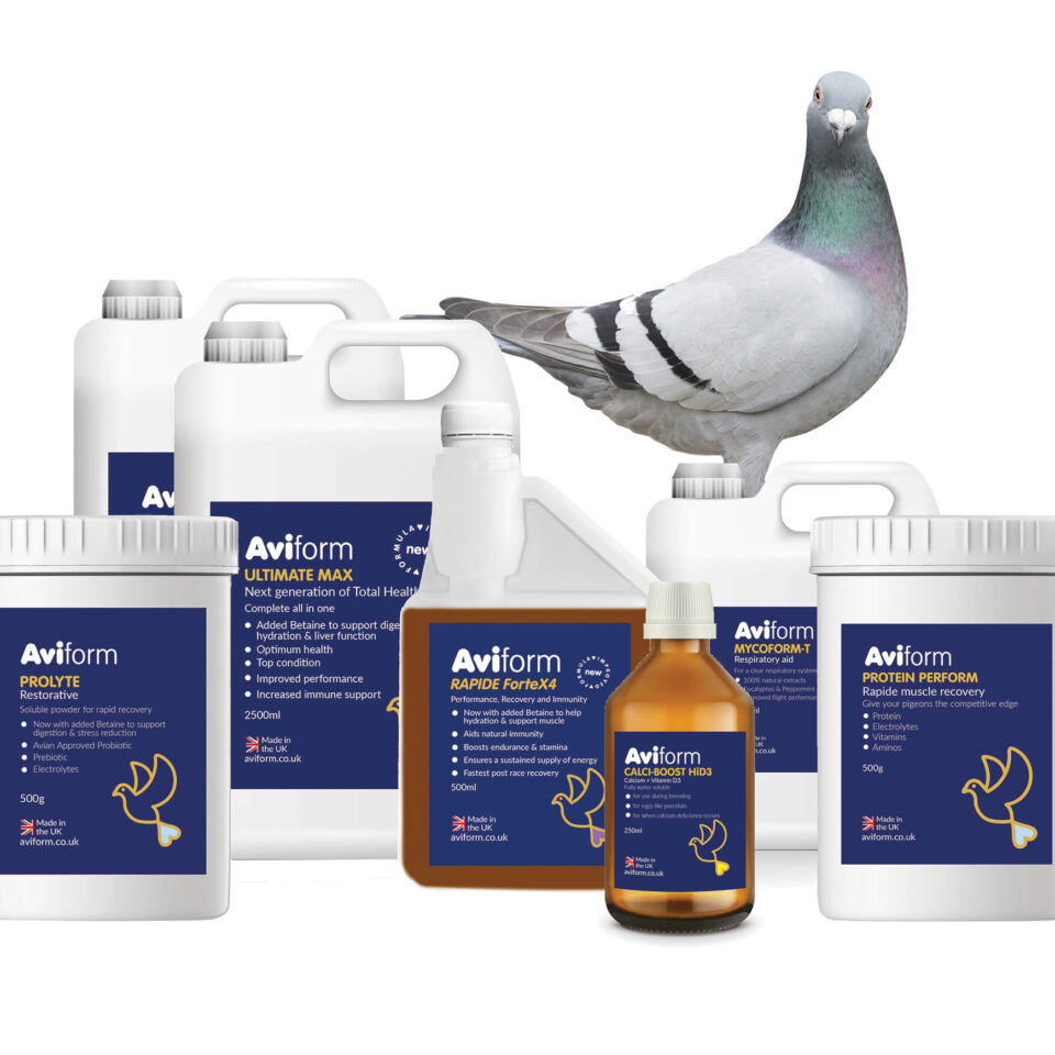 Racing Pigeon Supplements | Aviform