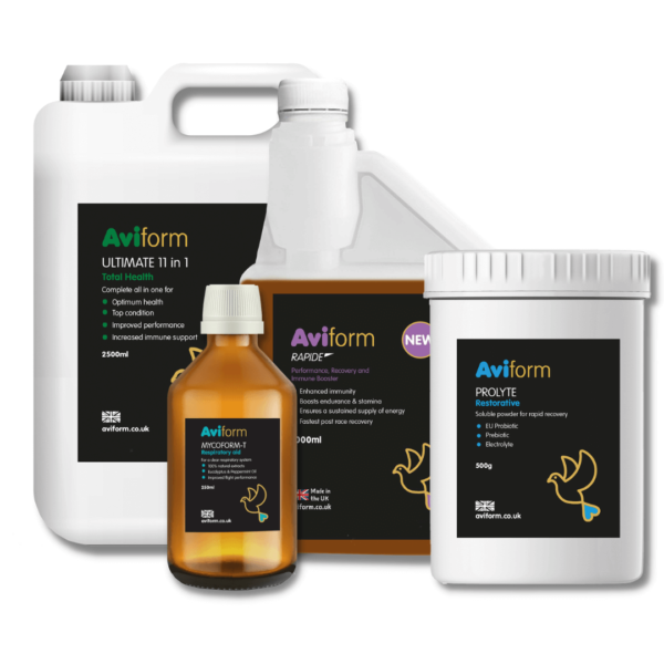 Racing Pigeon Supplements | Power Pack | Aviform