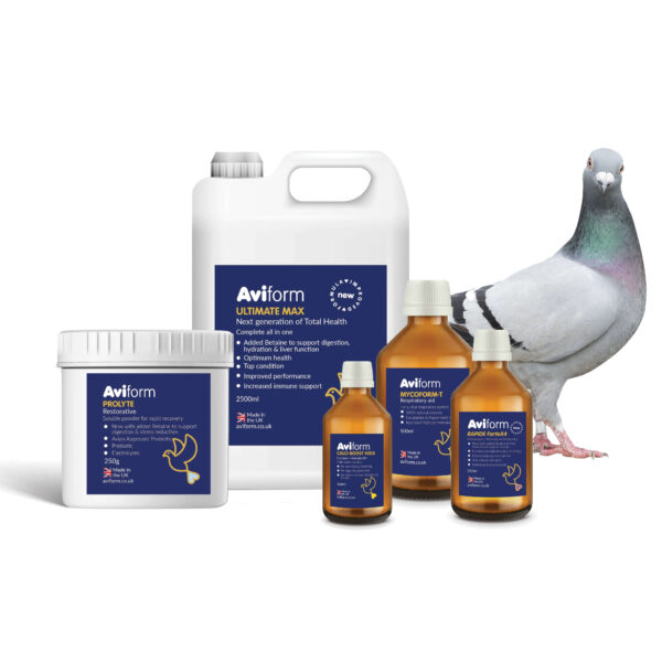 Ultimate Max Complete Racing Pigeon Supplement | Aviform
