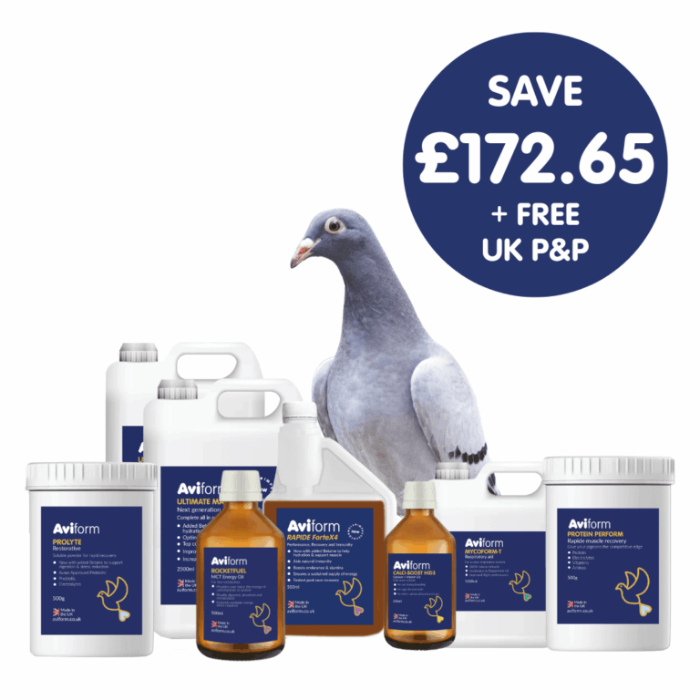 Racing Pigeon Supplements | Aviform
