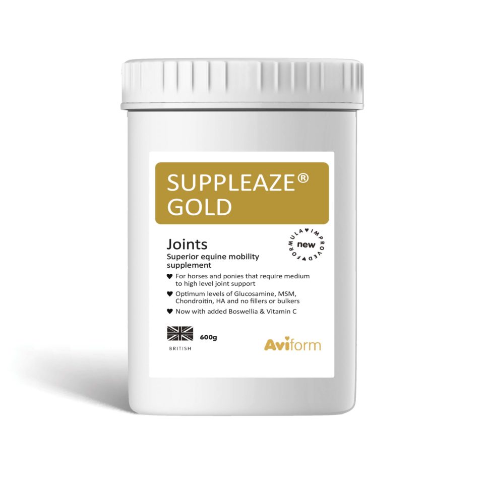 Suppleaze Gold Horse Joint Supplement | Aviform