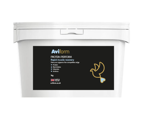 Protein Perform | Protein Supplement For Racing Pigeons | Aviform