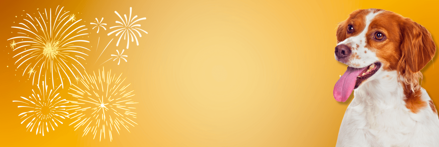 Aviform | Nutritional Supplements for Animals