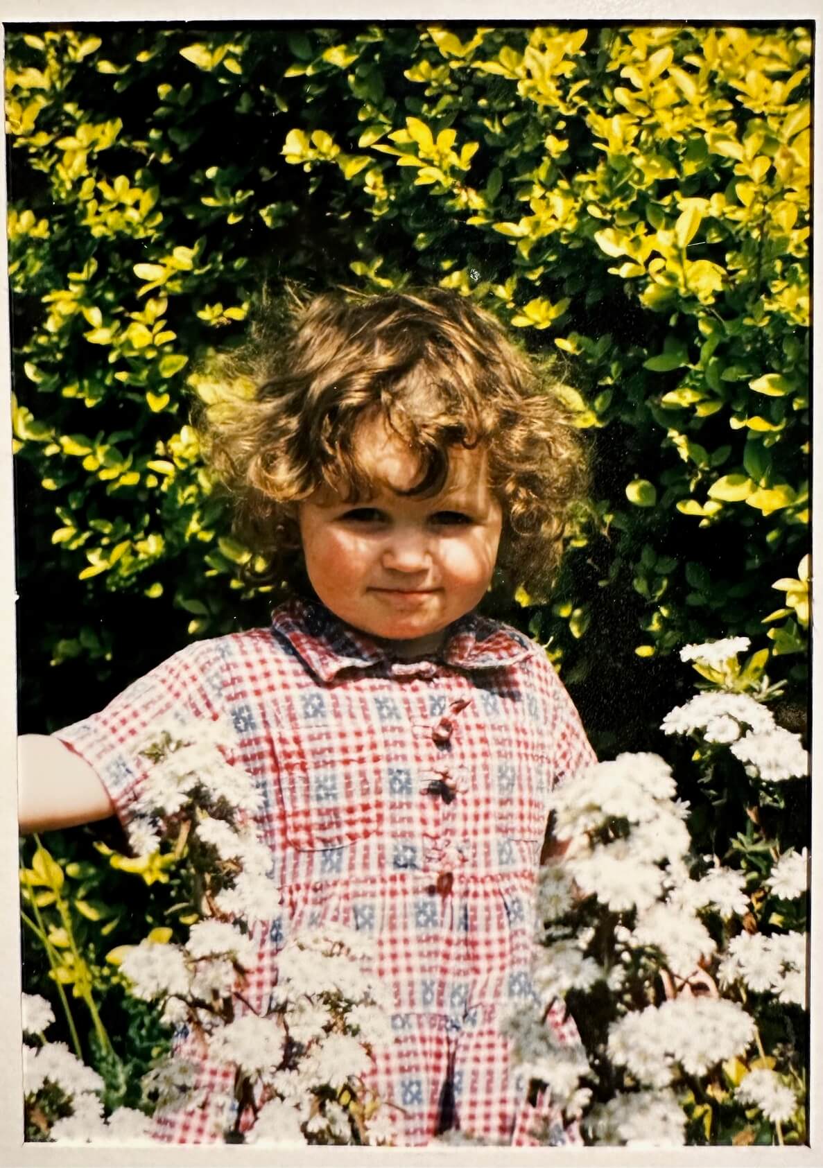 Meet The Team | Aviform