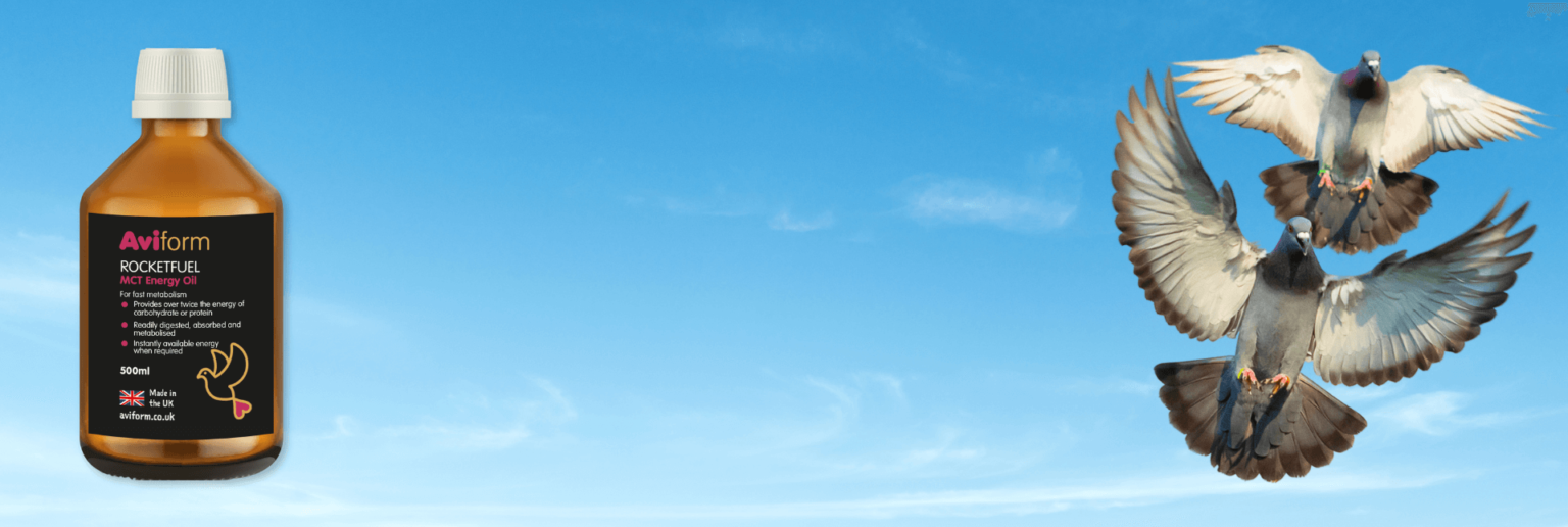 Aviform | Nutritional Supplements for Animals