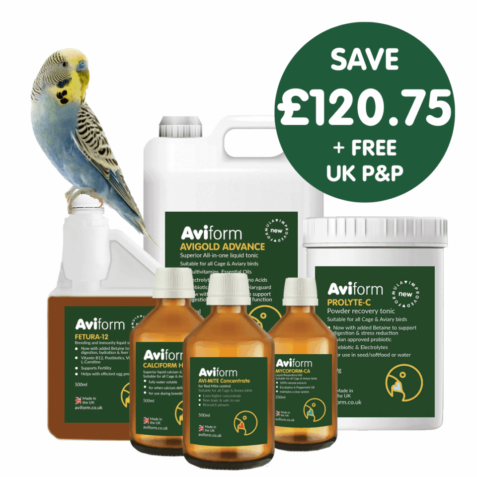 Aviform | Nutritional Supplements for Animals